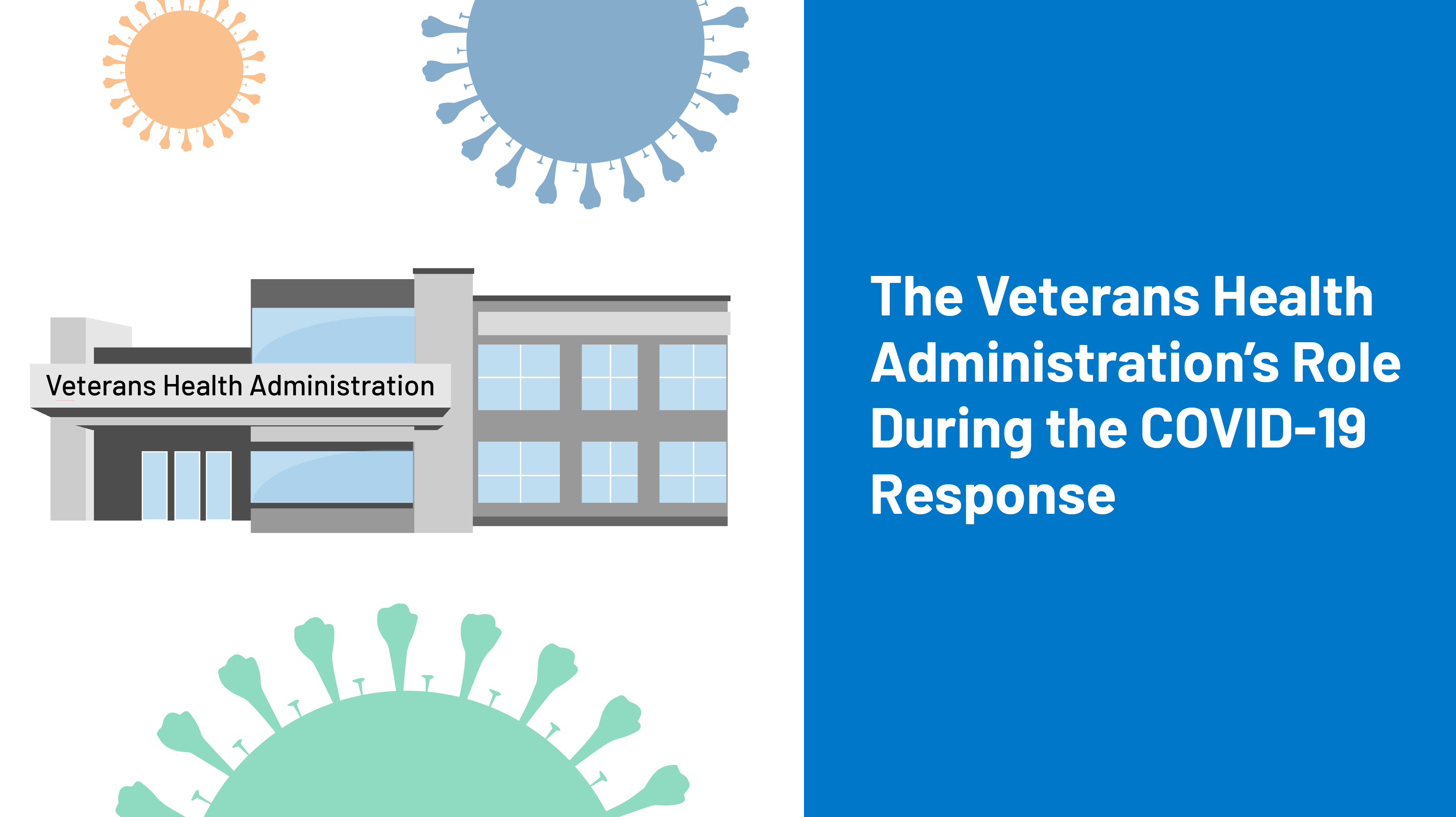 The Veteran Health Administration's role during the COVID-19 response ...